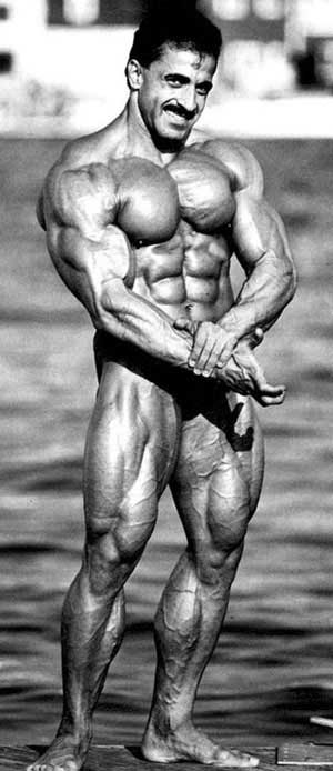 Samir Bannout Back